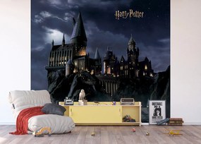 Dětská vliesová fototapeta na zed‘ Harry Potter | 300 x 270 cm | DDTD4P7803