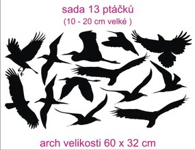 WALLVINIL Samolepky na zeď - Ptáčci na nebi Barva: Fialová, Velikost: 13 kusů