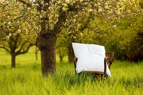 Ložnice21. Polštář Lyocell Tencel s chladivým účinkem Rozměr: 70x90 cm zip+vak (1200 g)