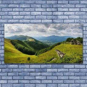 akrylový obraz Hora Louka Krajina 120x60 cm
