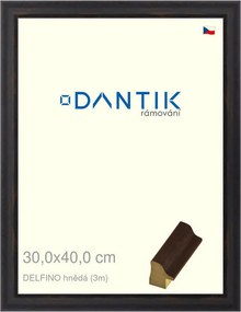 DANTIK rámeček 30x40 | DELFINO hnědá (Plexi Čiré)