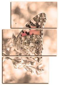 Obraz na plátně - Motýl na levandule - obdélník 7221FD (105x70 cm)