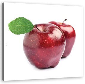 Obraz na plátně, Apple ovoce - 50x50 cm