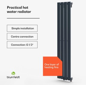 Blumfeldt Ontario, radiátor, 30 x 120, připojení 1/2", instalace na zeď, 733 W