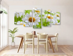 5-dílný obraz jarní louka plná květin - 200x100 cm