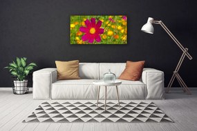 Obraz na plátně Květ Rostlina Příroda 100x50 cm