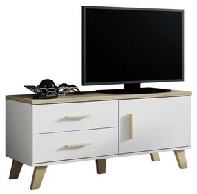 TV stolek Sanna 120 1D2S, Barva: brilantní bílá / dub sonoma