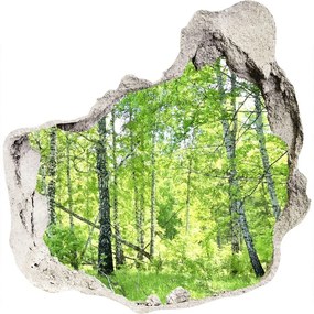 Wallmuralia Samolepící díra nálepka Břízový les 75x75 cm