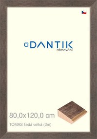 DANTIK rámeček 80x120 | TOMAS šedá velká (Plexi Čiré)