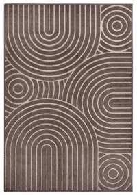 Hnědý koberec 160x235 cm Iconic Wave – Hanse Home