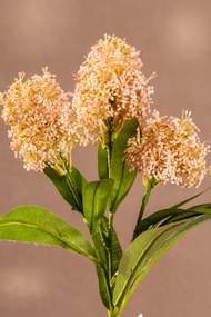 Paramit SKIMMIA Aranžovací květina růžová 58 cm