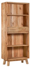 Dřevěná knihovna  Big Dipper, 60x190 cm