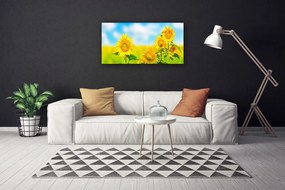 Obraz na plátně Slunečnice Květiny Příroda 120x60 cm