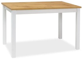 Jídelní stůl Adam 100 x 60 cm, dub wotan / bílá