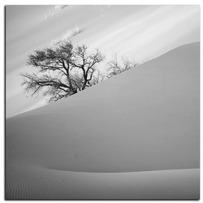 Obraz na plátně - Červené písečné duny - čtverec 3133QA (80x80 cm)