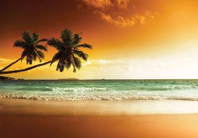 Postershop Fototapeta vliesová: Palmy a pláž při západu slunce - 368x254 cm