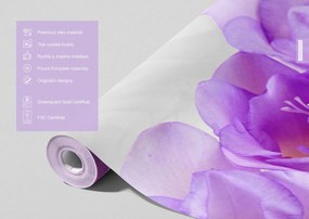 Fototapeta na míru Něžná Orchidej | Vliesová fototapeta na zed' | DFTNXXL2400
