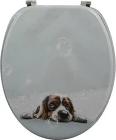 MSV DOGGY WC prkénko s motivem / MDF