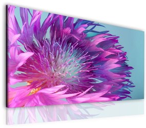 Malvis ® Obraz do ložnice Jemný květ Velikost: 120x80 cm
