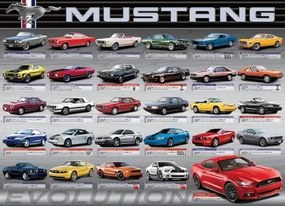 EUROGRAPHICS Puzzle Vývoj Fordu Mustang / 1000 dílků / 67,6 × 48,9 cm