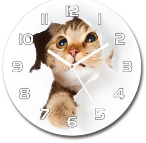 Wallmuralia Skleněné hodiny kulaté Kočka v díře fi 30 cm