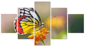 Obraz motýla na květu (125x70 cm)