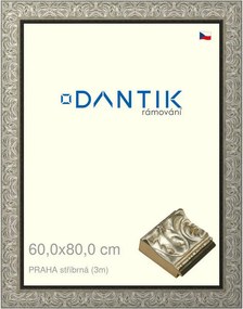 DANTIK rámeček 60x80 | PRAHA stříbrná (Plexi Čiré)