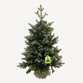 Smrk Modrý 100 LED 90 cm
