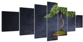 Obraz - Bonsai (210x100 cm)