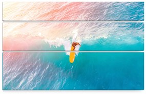 Malvis ® Vícedílný obraz Surfař Velikost (šířka x výška): 130x80 cm