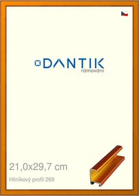 DANTIK rámeček 21x29,7 | ALU profil 7269 Oranžová Citrin broušená (Sklo Čiré)