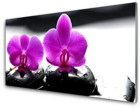 Plexisklo-obraz Květiny Kameny Zen Lázně 140x70 cm