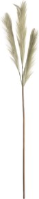 Pampová tráva 110cm green