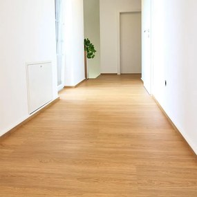 Vinylová podlaha Brased Ecoline lepený 9501 Dub přírodní 5,11 m²