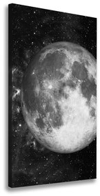 Wallmuralia Vertikální Moderní obraz canvas na rámu Měsíc 50x100