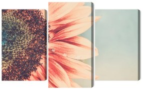 Vícedílný obraz Kvetoucí Slunečnice V Makro Měřítku Nedostatek Nedostatek Plátno Canvas 150x100