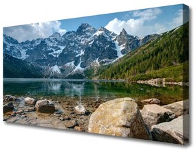 Obraz na plátně Hory Les Jezero Kameny 140x70 cm