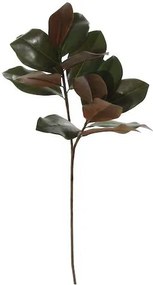Magnolie listy, 88 cm