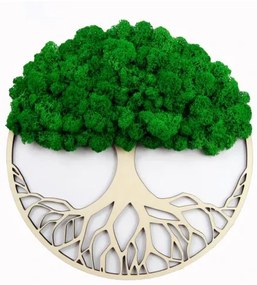 OznTo Obraz strom s mechem 60cm zelený