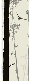 AG Design fototapeta FTNVL 3729 Dimm Forest 90 x 270 cm