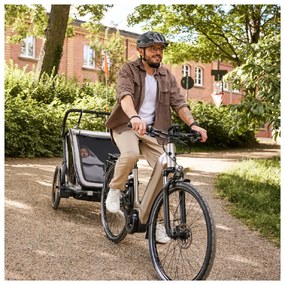Hauck Bike N Walk Duo cyklovozík 3v1 light grey