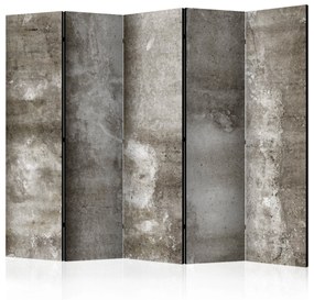 Paraván - Cold Concrete [Room Dividers]