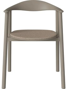 Jídelní židle Swing, barevná edice, více variant - Bolia Varianta: šedý dub