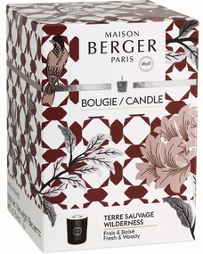 Maison Berger Paris – Prisme vonná svíčka Wilderness (Divočina), černá 240 g