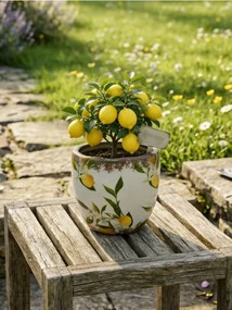 Sinsay - Keramický květináč s motivem citronů - vícebarevná