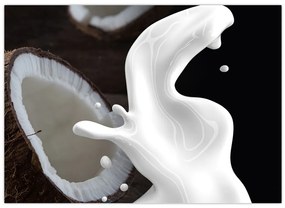 Obraz - kokosové mléko (70x50 cm)