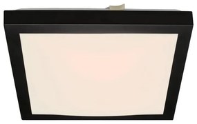Briloner 3502-015 - LED Stropní svítidlo FLEDO LED/12W/230V