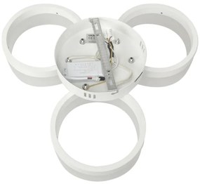 LED Stropní svítidlo RING 3xLED/12W/230V bílé