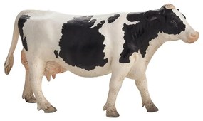 Mojo Kráva holštýnská