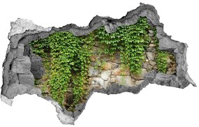 Wallmuralia Samolepící díra nálepka Zelený břečťan 95x73 cm